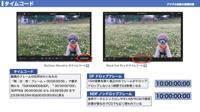 映像の基礎力学 | タイムコード
